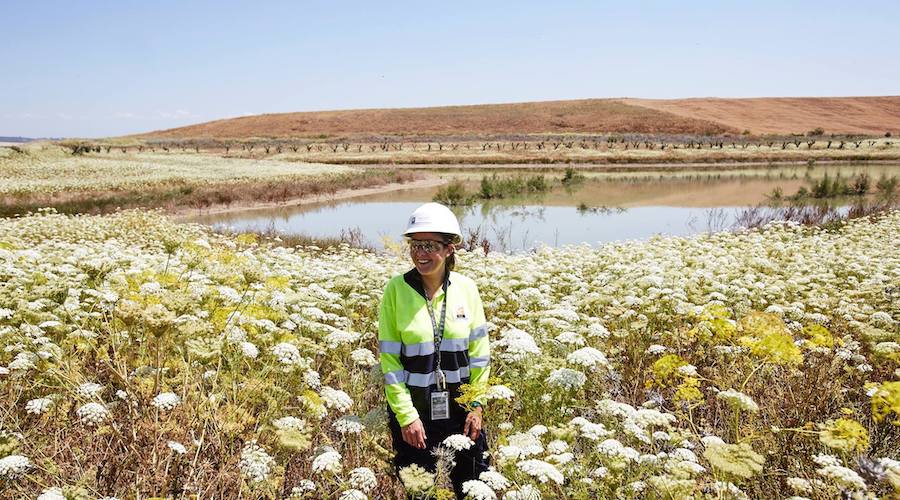 Enfoque verde para la minería podría crear mercado de $ 3.5 billones ...